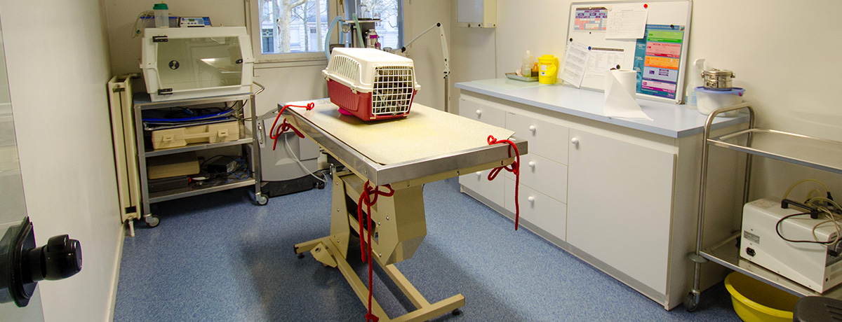 Bloc opératoire vétérinaire - Clinique Vétérinaire Fauriel à Saint-Etienne